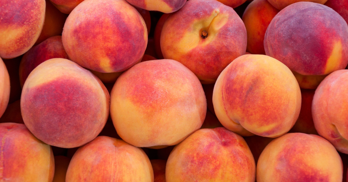 11 High Iron Fruits to Increase Your Iron Levels