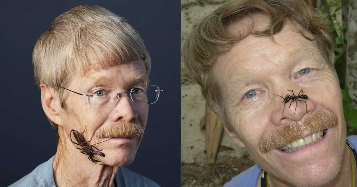 Purposely Stung By 80 Different Insects, Scientist Creates Pain Index ...