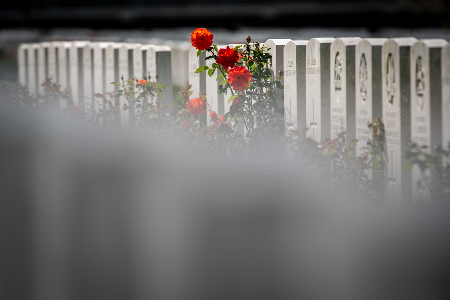 19 Myths About Death and Dying People Need to Stop Believing