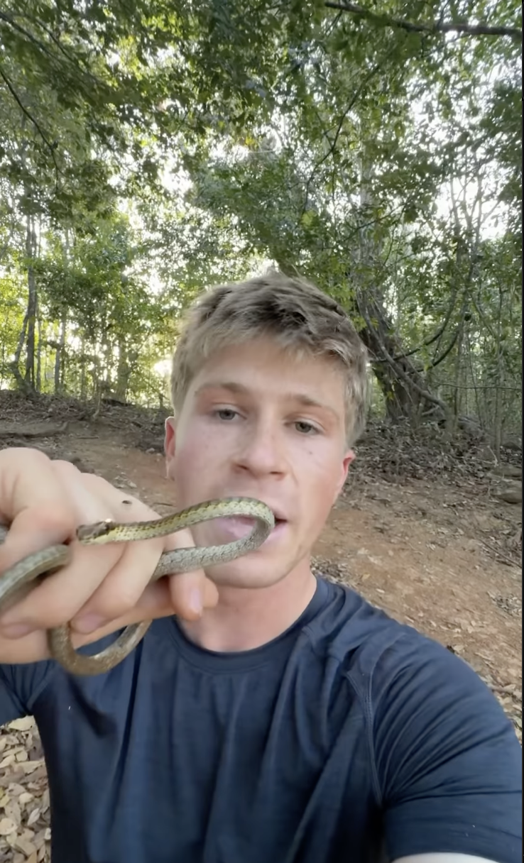 Robert Irwin gets 'head smashed into tree' during freak accident