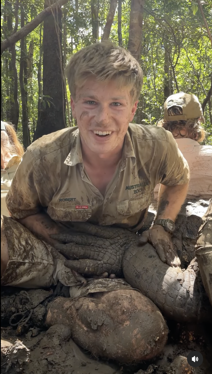 Robert Irwin gets 'head smashed into tree' during freak accident