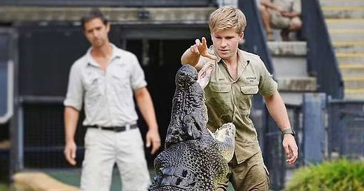 Robert Irwin gets 'head smashed into tree' during freak accident