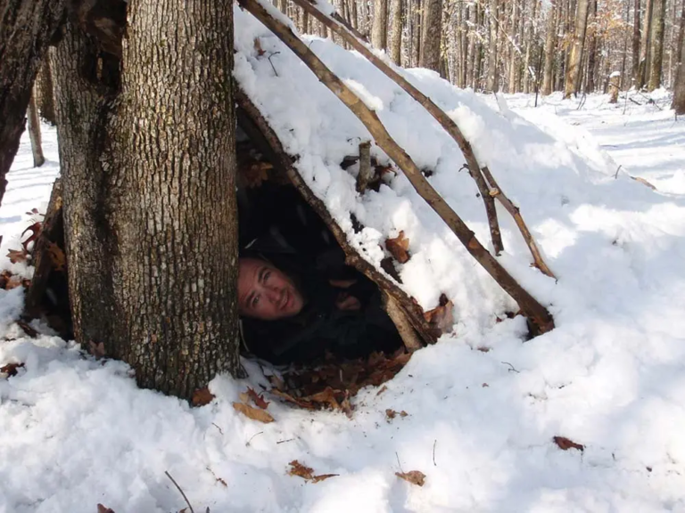 Winter survival shelters you should know how to build - Organically Human