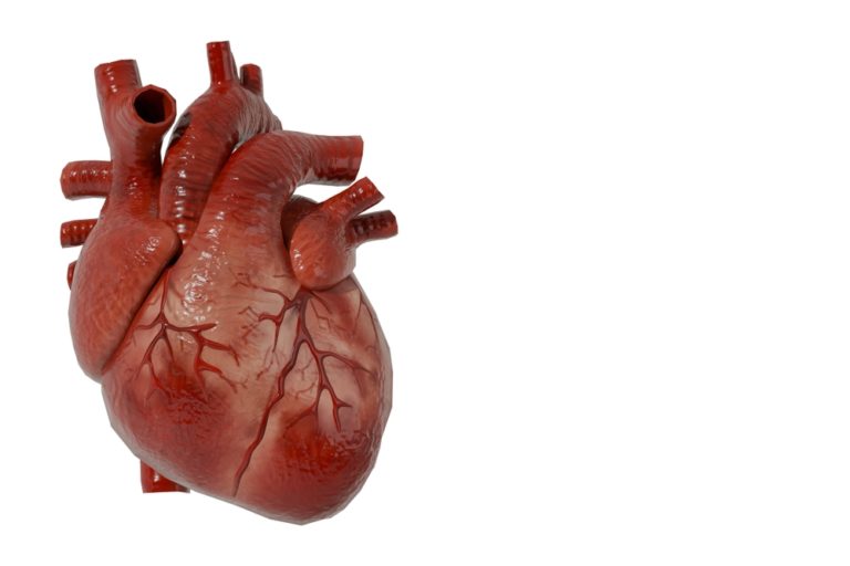 12 Surprising Facts About Growing Old - Organically Human