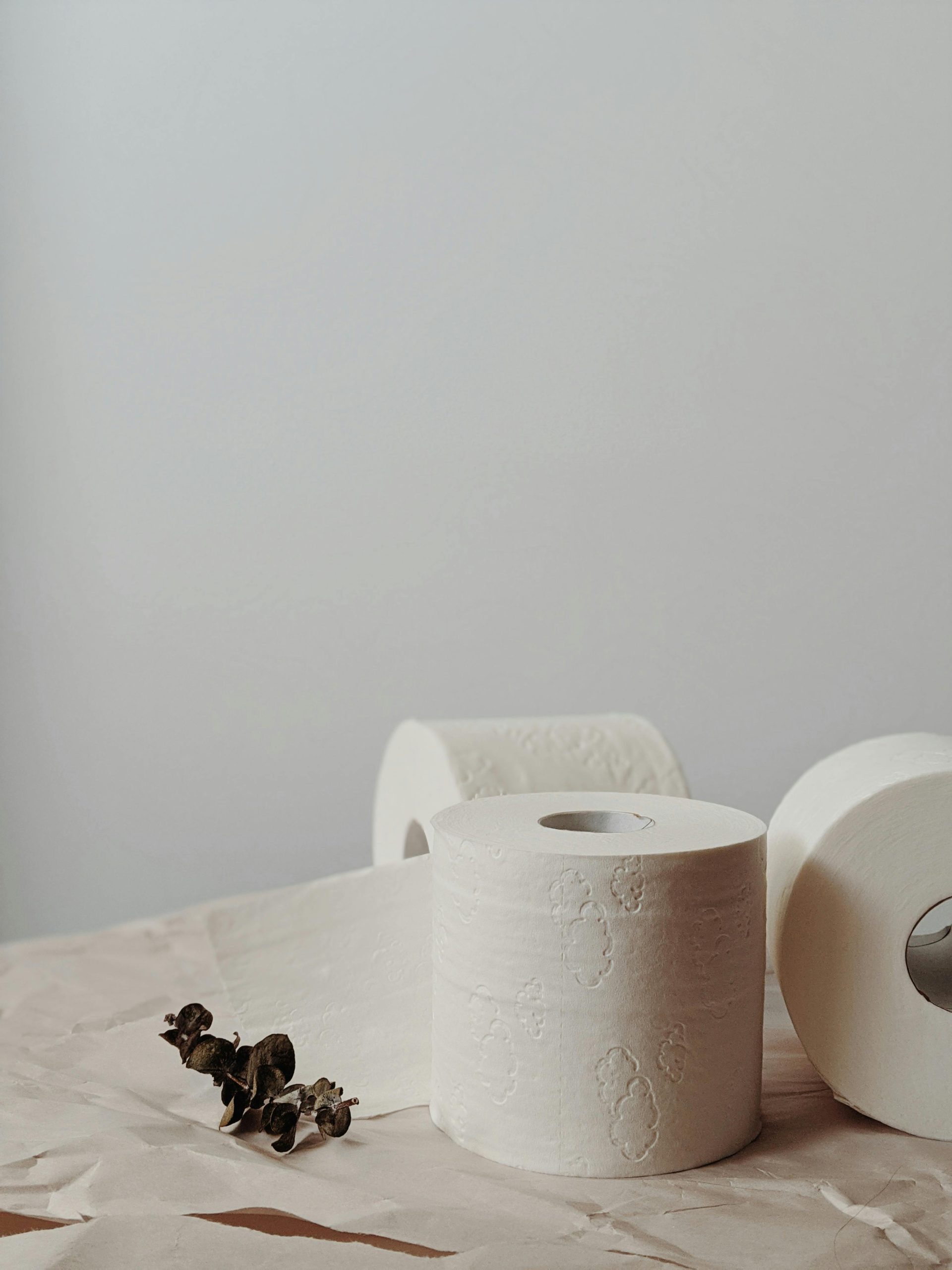 The Hidden Health Risks of Everyday Toilet Paper